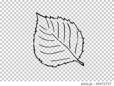 Line drawing illustration food Shiso leaves - Stock Illustration ...
