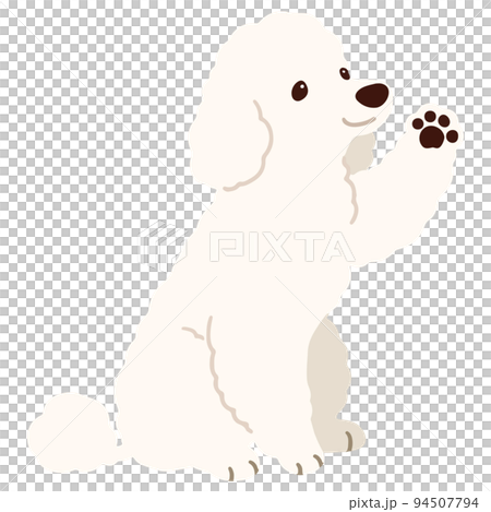 Illustration of a simple and cute white poodle... - Stock Illustration ...