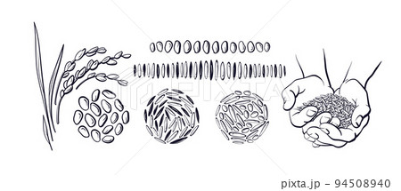 Rice outline set. Vector seeds, handful of grainsのイラスト素材 [94508940] - PIXTA