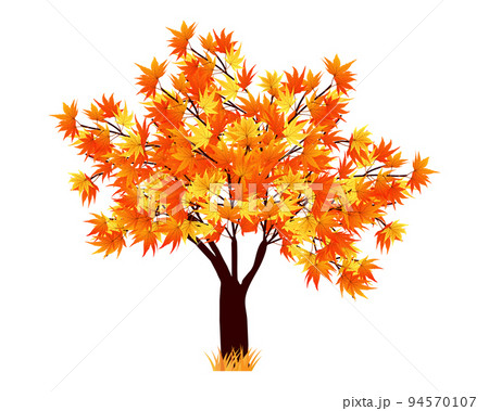 Fall Treeのイラスト素材 [94570107] - PIXTA
