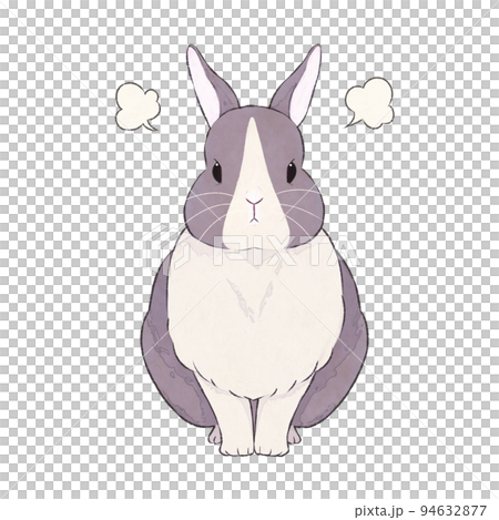 Ash rabbit Dutch expression (angry) - Stock Illustration [94632877] - PIXTA