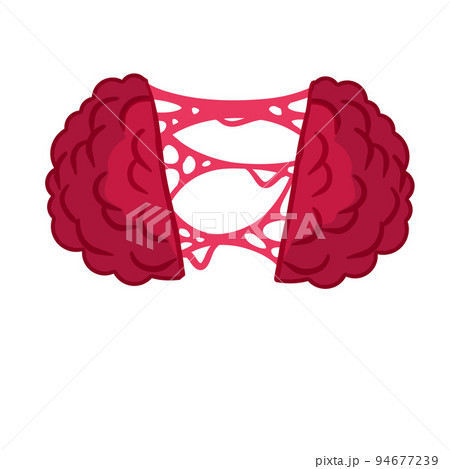 Human brain. Cut organ with pink slime.のイラスト素材 [94677239] - PIXTA