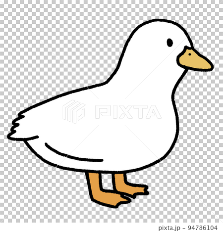 duck - Stock Illustration [94786104] - PIXTA