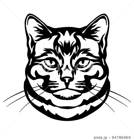 Abstract portrait of a cat black contour...のイラスト素材 [94786969] - PIXTA