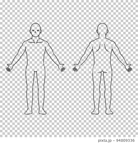 human body line drawing male - Stock Illustration [94809336] - PIXTA