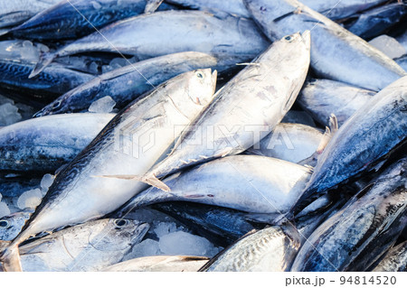 Bundle of tuna sea fish sell in fresh marketの写真素材 [94814520] - PIXTA
