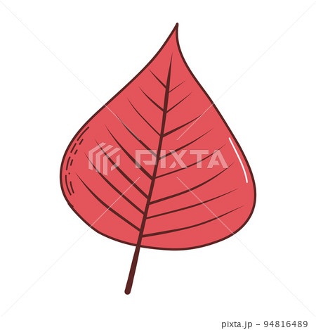 Autumn leaf. Vector illustration in hand drawn...のイラスト素材 [94816489] - PIXTA