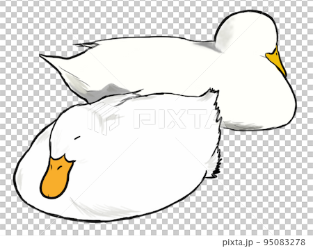Two ducks hand-drawn illustration - Stock Illustration [95083278] - PIXTA