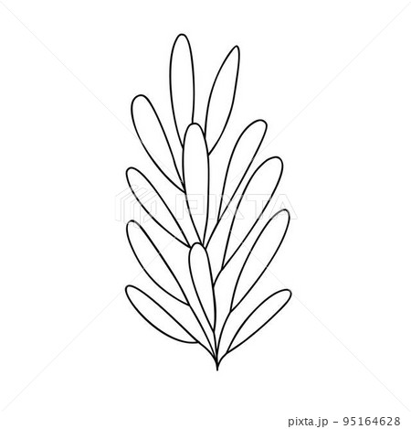 Outline plant decorative branch with leaves and...のイラスト素材 [95164628 ...