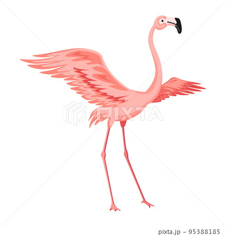 Cartoon Flamingo Flying