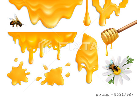 Honey Realistic Setのイラスト素材 [95517937] - PIXTA