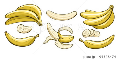 Yellow banana drawingsのイラスト素材 [95528474] - PIXTA