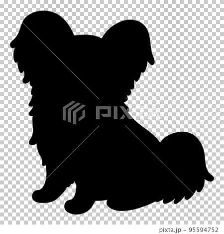 Sitting cute Papillon silhouette - Stock Illustration [95594752] - PIXTA