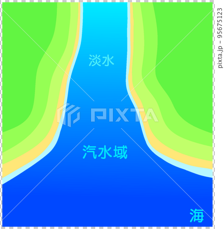 Brackish water - Stock Illustration [95675123] - PIXTA