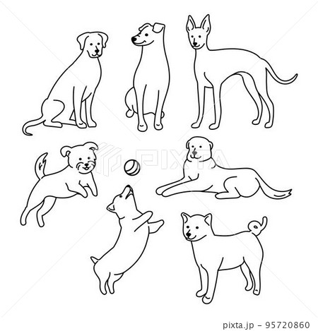 Set of cute outline breed dogs. Line style...のイラスト素材 [95720860] - PIXTA