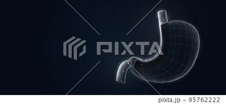 Human stomach. Healthcare. 3d Wireframe and low...のイラスト素材 [95762222 ...