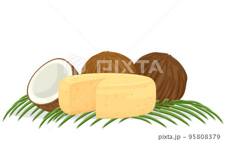 Vegan Coconut Cheese Palm Tree Leaves Illustrationのイラスト素材 [95808379 ...