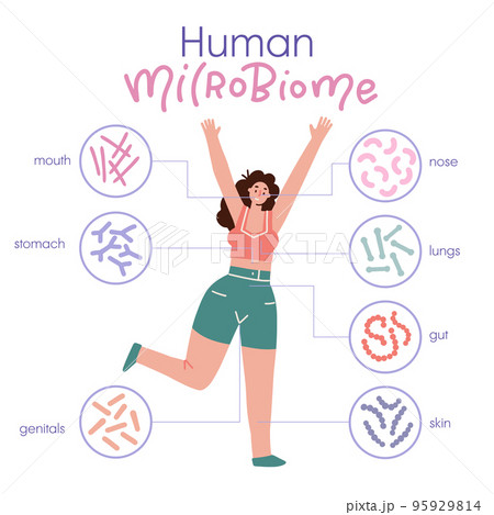 Different types of human microbiome....のイラスト素材 [95929814] - PIXTA