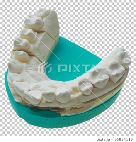 Positive teeth cast transparent PNGのイラスト素材 [95934119] - PIXTA