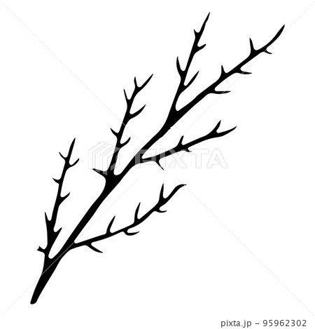 Black and White Hand Drawn Flower Leaves...のイラスト素材 [95962302] - PIXTA