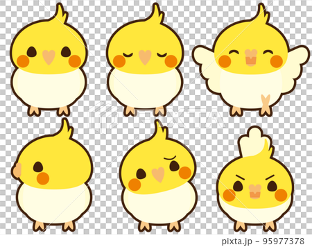 Cockatiel set with border Lutino - Stock Illustration [95977378] - PIXTA