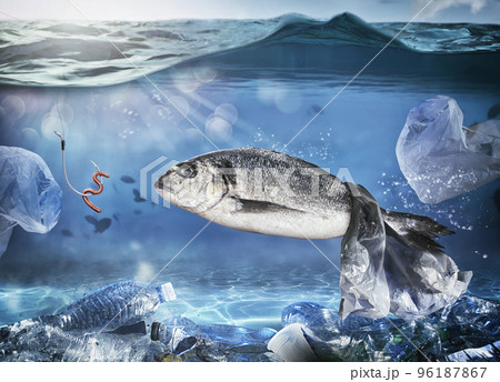 Floating Fish With Ice Underneath