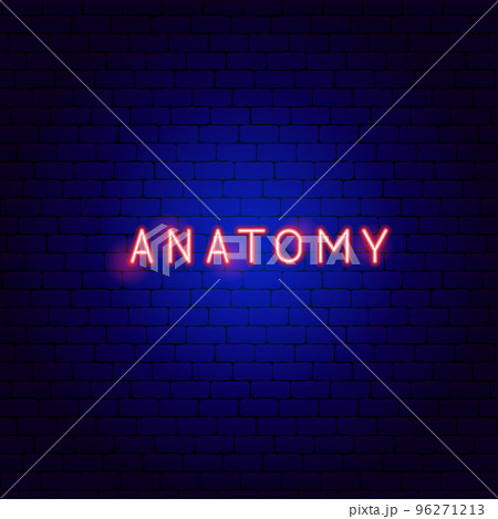 Anatomy Neon Textのイラスト素材 [96271213] - PIXTA