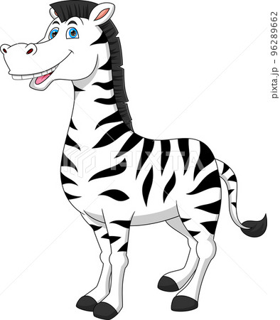 cartoon cute zebra on white backgroundのイラスト素材 [96289662] - PIXTA