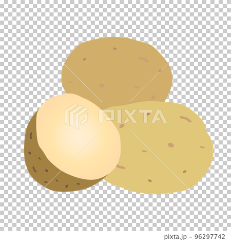 potato and its cross section - Stock Illustration [96297742] - PIXTA