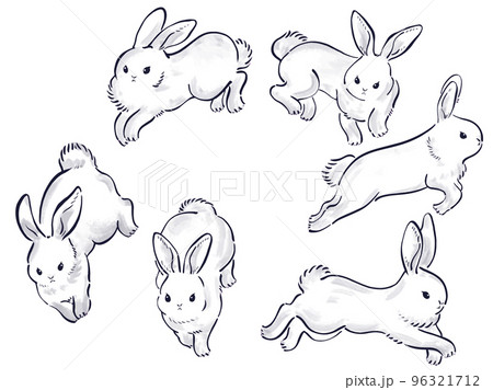Running Rabbit Outline