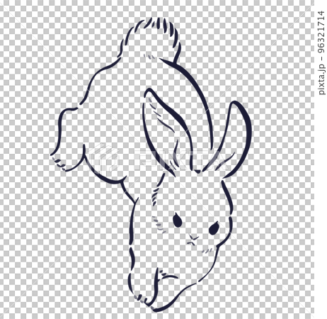 Running Rabbit Drawing Outline