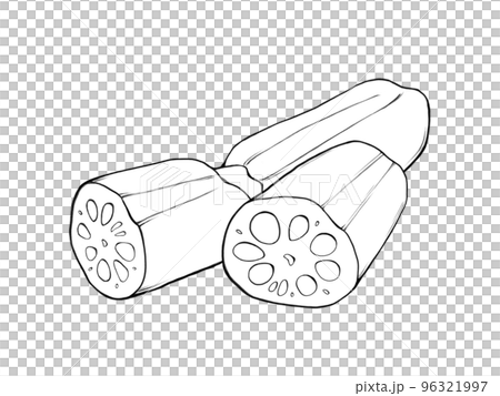 Simple line drawing illustration of cut lotus root - Stock Illustration ...