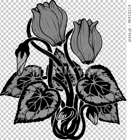 Hand drawn cyclamen flower illustration - Stock Illustration [96419214 ...