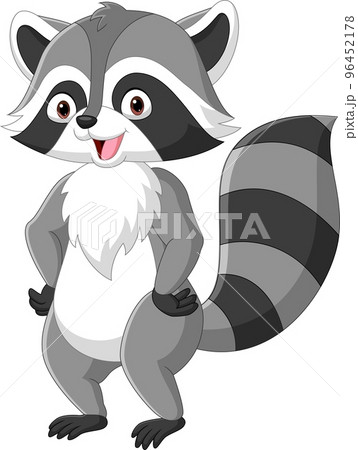 Cute raccoon cartoon on white backgroundのイラスト素材 [96452178] - PIXTA