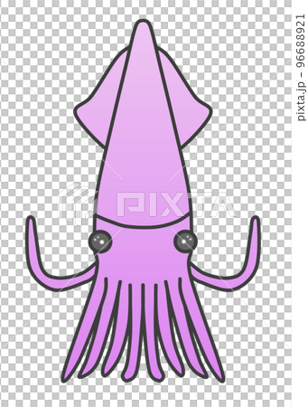 Squid (purple) - Stock Illustration [96688921] - PIXTA