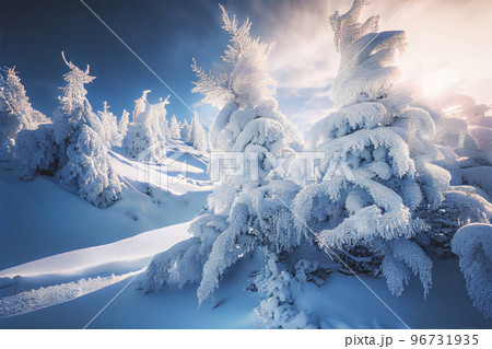 White winter spruces in the snow on a frosty...のイラスト素材 [96731935] - PIXTA
