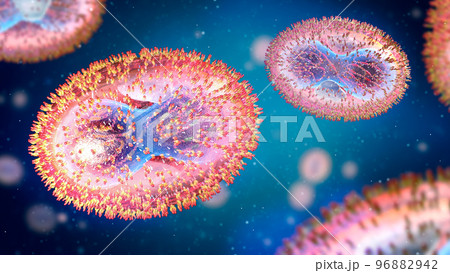 Cross section of a smallpox pathogen with cell...のイラスト素材 [96882942] - PIXTA