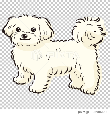 Simple and cute maltese hand-drawn line drawing... - Stock Illustration ...