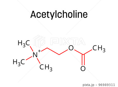 Acetylcholine molecular structure....のイラスト素材 [96989311] - PIXTA
