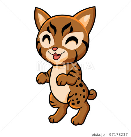 Cute pixie bob cat cartoonのイラスト素材 [97178237] - PIXTA