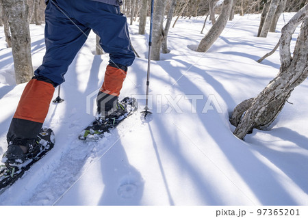 スノーシュートレッキングのイメージ 大山鏡ヶ成 の写真素材 [97365201] - PIXTA