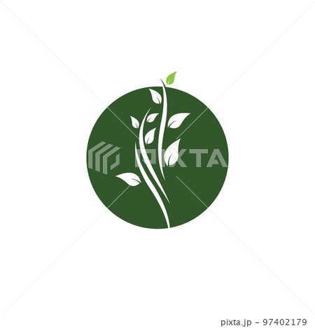 Tree leaf symbol vector icon illustrationのイラスト素材 [97402179] - PIXTA