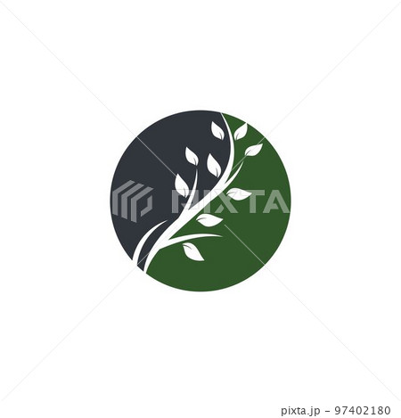 Tree leaf symbol vector icon illustrationのイラスト素材 [97402180] - PIXTA