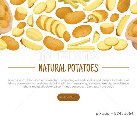 Potato Design with Raw Root Vegetable with Peel...のイラスト素材 [97431664 ...