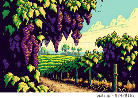 Vineyards with clusters of ripe grapes, 8 bit...のイラスト素材 [97479165] - PIXTA