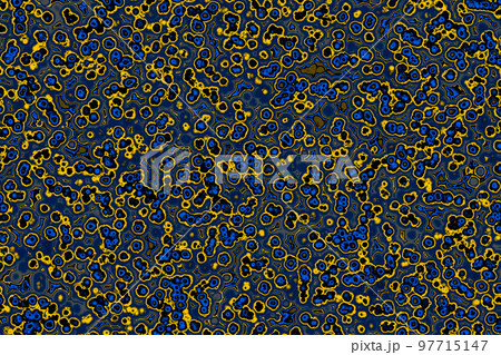 Shape of bacterial cell: cocci, bacilli,...のイラスト素材 [97715147] - PIXTA