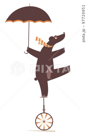 Bear riding on the unicycle. Funny bear with...のイラスト素材 [97720951] - PIXTA