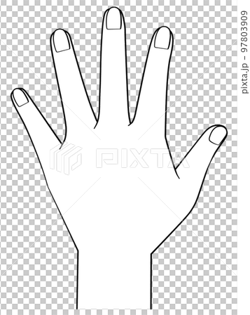 Illustration of the back of the hand Left hand - Stock Illustration ...