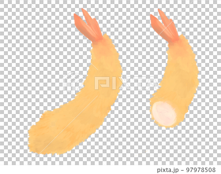 Fried Shrimp Cross Section Tail - Stock Illustration [97978508] - PIXTA