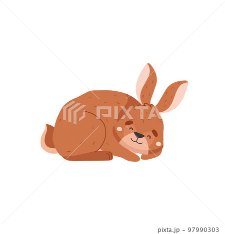 Cheerful rabbit sleeping curled up in ball,...のイラスト素材 [97990303] - PIXTA